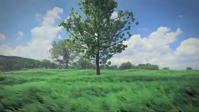 Create Realistic Animated Trees with Blender - scienceviz.com